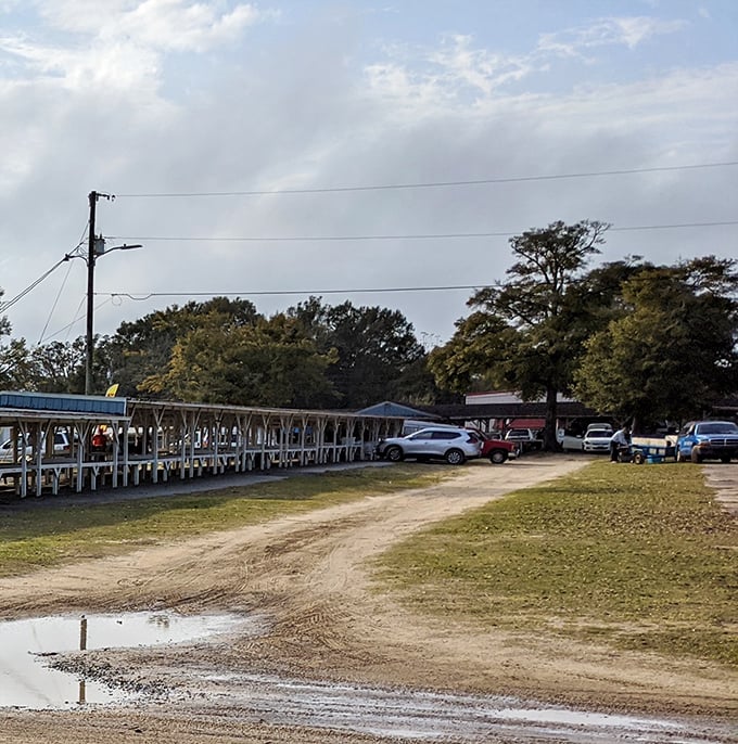 The sprawling grounds accommodate hundreds of weekend bargain hunters. Early birds get the best parking—and the first crack at undiscovered treasures.
