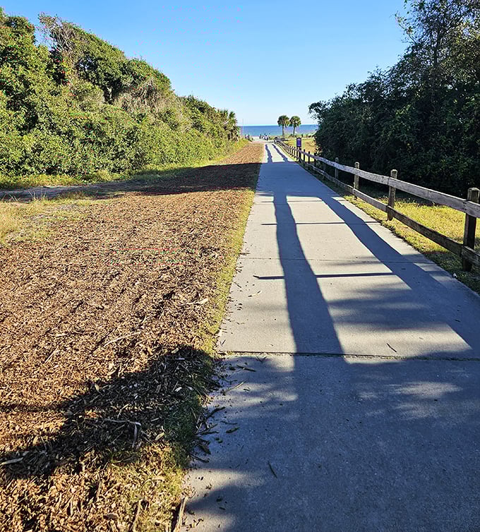 The path less traveled leads to the best rewards. This walkway promises beach bliss just beyond those maritime trees.