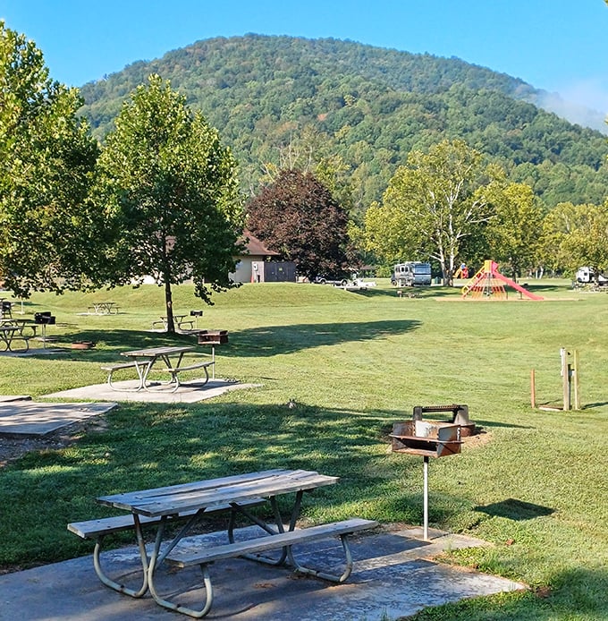 Picnic areas nestled beneath mountain views offer the kind of dining ambiance that five-star restaurants try desperately to replicate.