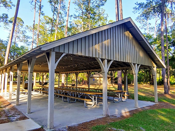 The picnic pavilion—where potato salad meets primal wilderness and somehow both seem perfectly at home together.
