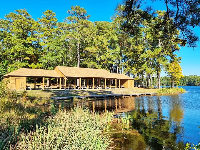 This lakeside shelter isn't just a picnic spot—it's vacation headquarters. The corner office we all deserve.