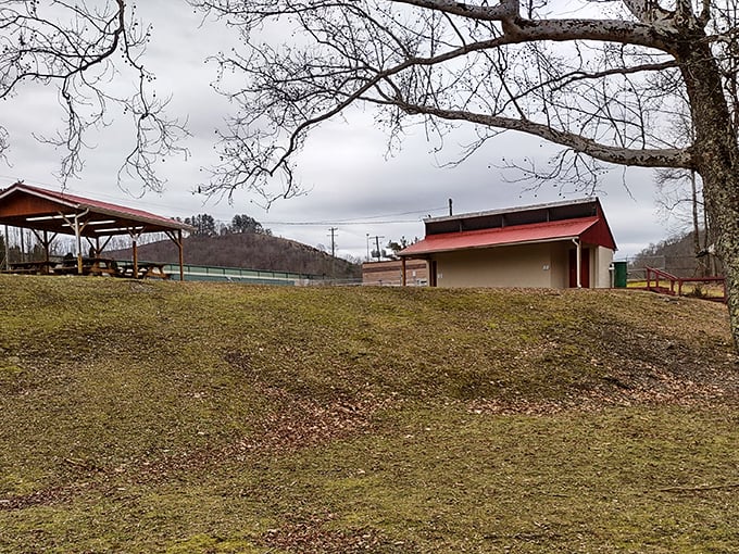 Rustic charm meets practical purpose. These shelters aren't winning architectural awards, but they'll save your picnic from unexpected Virginia showers!