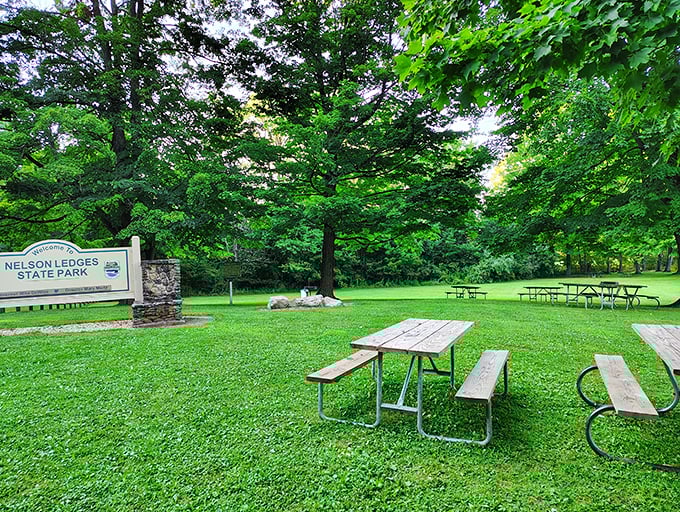Picnic paradise awaits! These tables have hosted more memorable family meals than most restaurants, though the service is strictly self-guided and the entertainment purely natural.