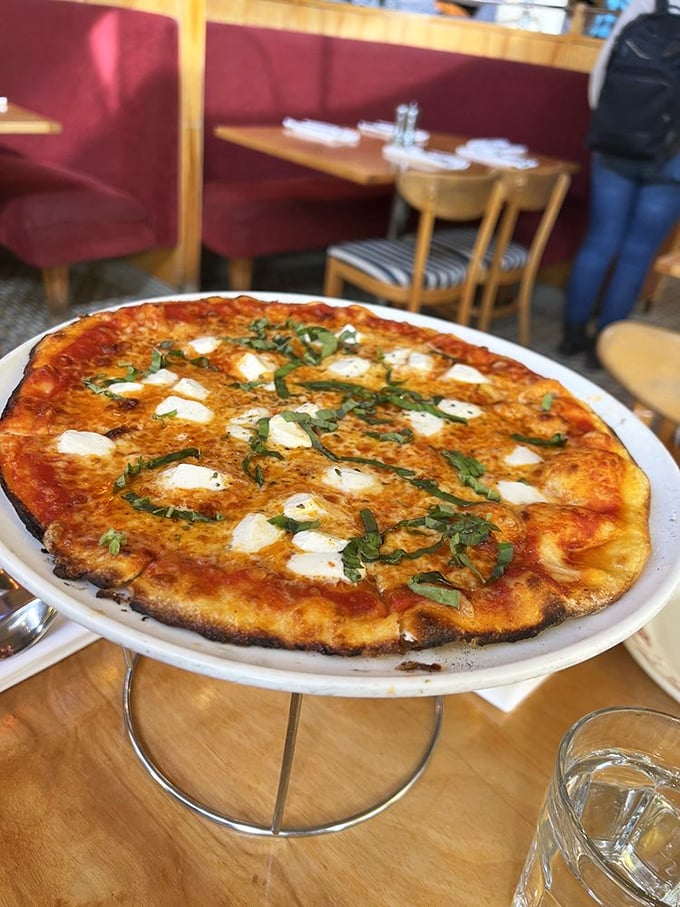 A margherita pizza that proves simplicity is the ultimate sophistication. That char on the crust? It's the pizza equivalent of George Clooney's salt-and-pepper hair—distinguished and irresistible.