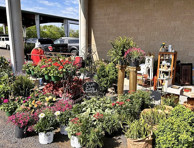 A garden oasis amid the treasure hunt – where "just one plant" becomes a trunkful before you can say "I have the perfect spot for this."