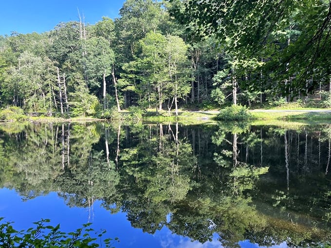 Mirror-smooth water reflects clouds like nature's own Rorschach test – what do you see?