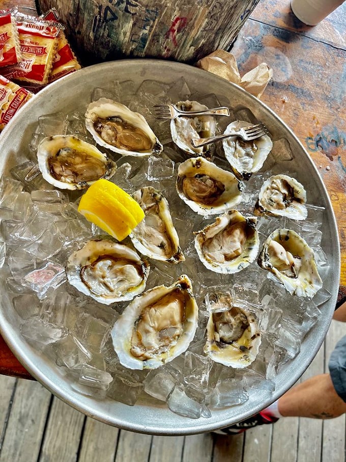 Raw oysters on ice – nature's perfect appetizer. Just a squeeze of lemon and suddenly you're having a moment of briny bliss.