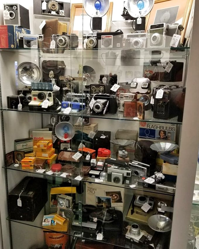 A photographer's dream—vintage cameras that captured weddings, birthdays, and everyday moments long before "selfie" entered our vocabulary.