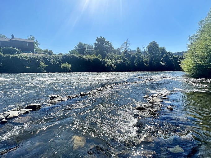 The Rogue River doesn't just flow, it performs—sparkling in sunlight, dancing over rocks, and providing nature's perfect soundtrack for an afternoon nap.