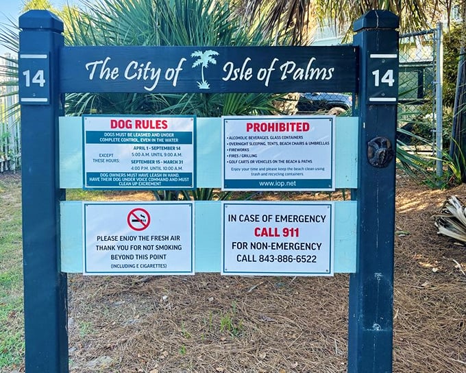 The official greeter of Isle of Palms, laying out all the rules with Southern charm. Dogs, emergencies, and fresh air—everything you need to know.