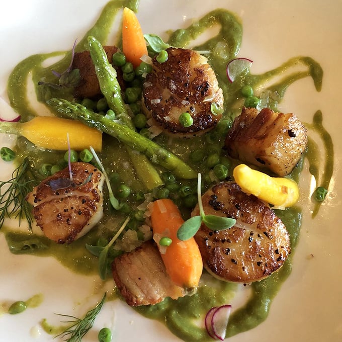 These seared scallops aren't just cooked—they're pampered, seasoned, and presented like the culinary celebrities they are.