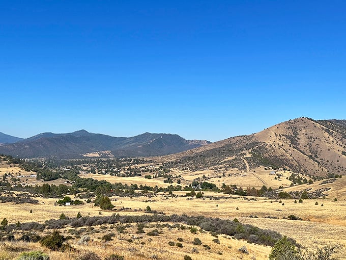 Rolling hills stretch toward the horizon in fifty shades of gold – California's version of wealth that doesn't fluctuate with the stock market.