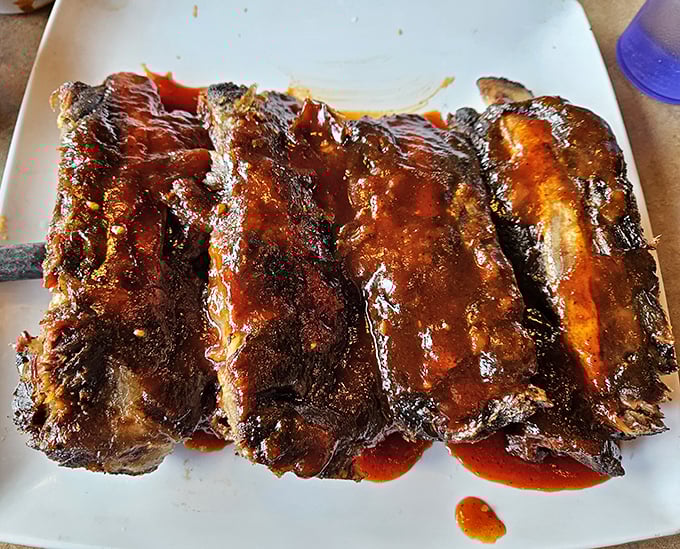 Ribs so glossy they could be in a barbecue magazine centerfold. That sauce-to-meat ratio isn't an accident—it's barbecue science perfected over decades.