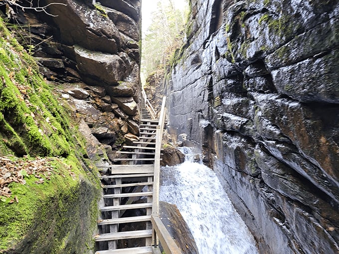 Stairway to heaven? Close enough. These steps through Flume Gorge lead to natural wonders that make treadmills seem like cruel jokes.