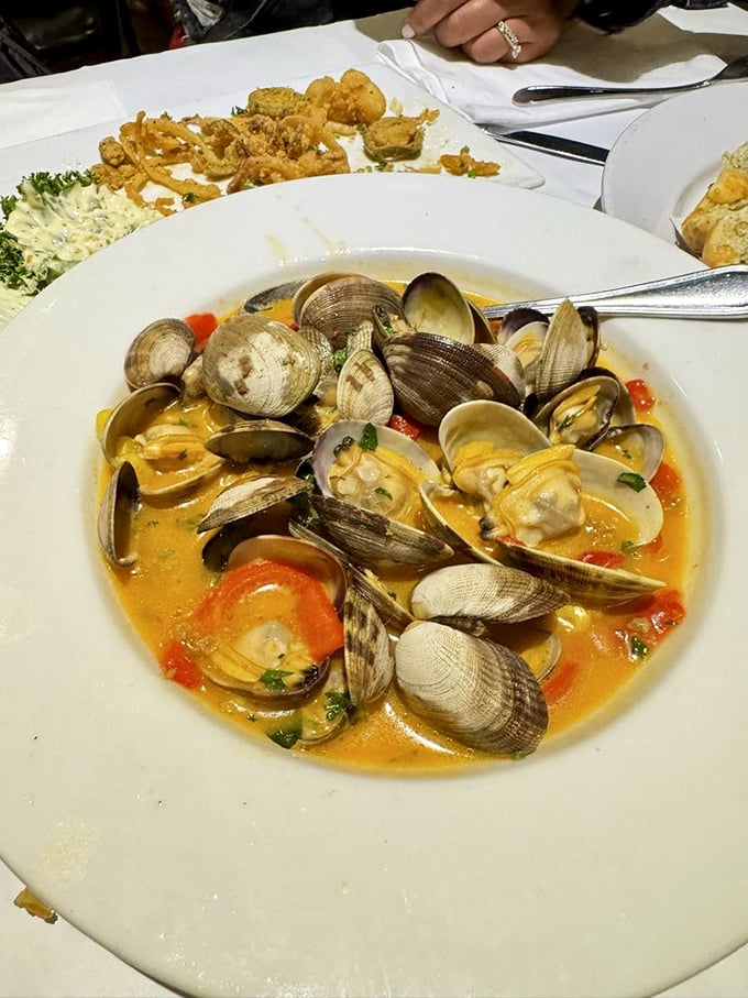 These clams aren't just swimming—they're doing synchronized laps in a broth so flavorful you'll be requesting extra bread for strategic dipping.