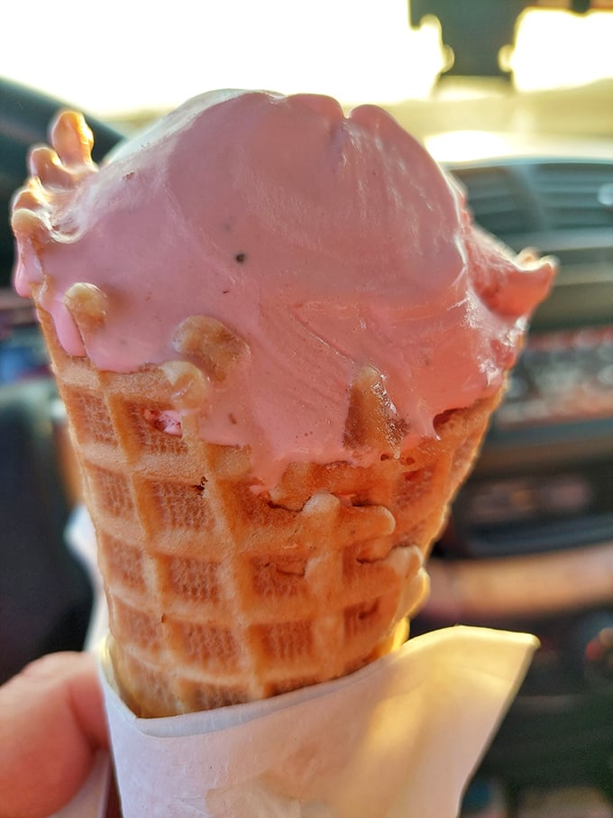 Strawberry ice cream cascading over a freshly made waffle cone—nature's perfect partnership since the invention of summer.