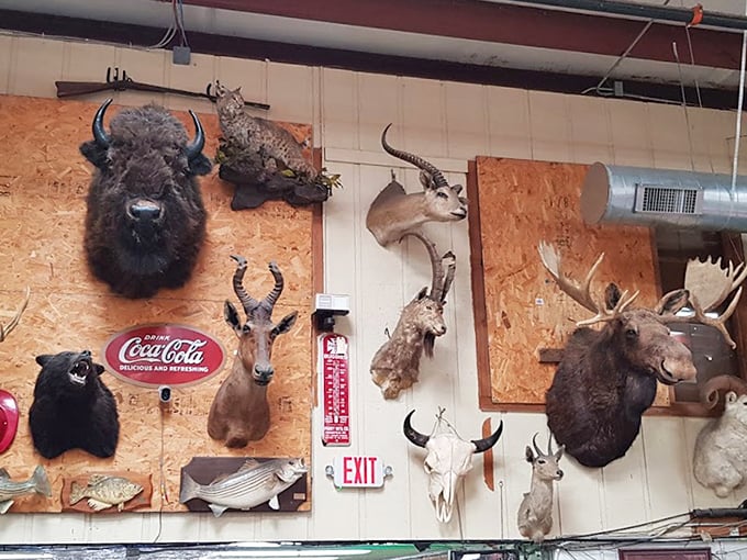 The taxidermy collection watches over shoppers – it's like a nature documentary that doesn't move or narrate.