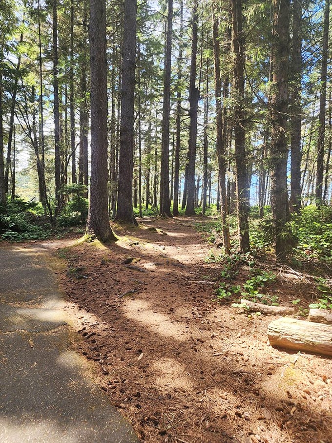 Sunlight filters through towering sentinels, creating nature's own cathedral. This trail promises adventure with every step.