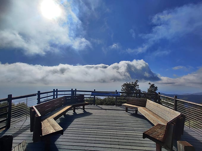 Cloud-watching gets an upgrade at this mountain-top viewing area. Those benches have hosted more profound life conversations than most therapists' offices.