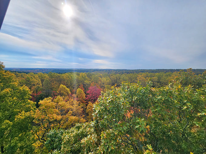 Fall's paintbrush transforms Mohican into nature's color palette—a masterpiece that makes even the most dedicated couch potatoes consider hiking boots.