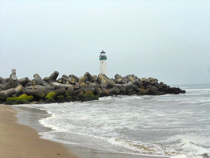 Emerging from the misty backdrop like a maritime guardian, the lighthouse stands sentinel over the rocky breakwater that protects Santa Cruz Harbor.