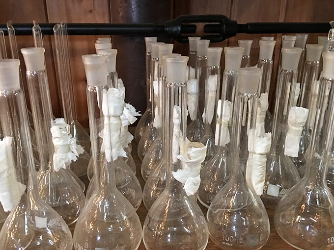 Laboratory glassware that looks like it escaped from a mad scientist's dream – perfect for your next dinner party.
