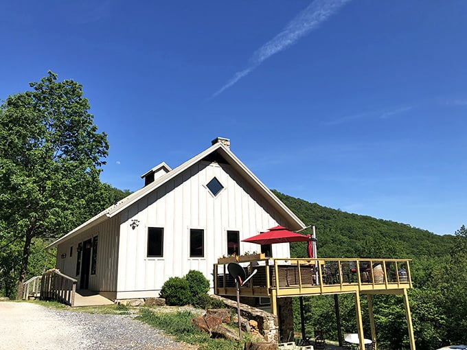 Ankida Ridge's cozy tasting room perches on the mountainside like a bird's nest – if birds were really into excellent Pinot Noir.