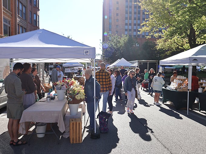 Downtown Bloomington's market turns ordinary streets into extraordinary gathering places. The buildings may be historic, but the energy is thoroughly modern.