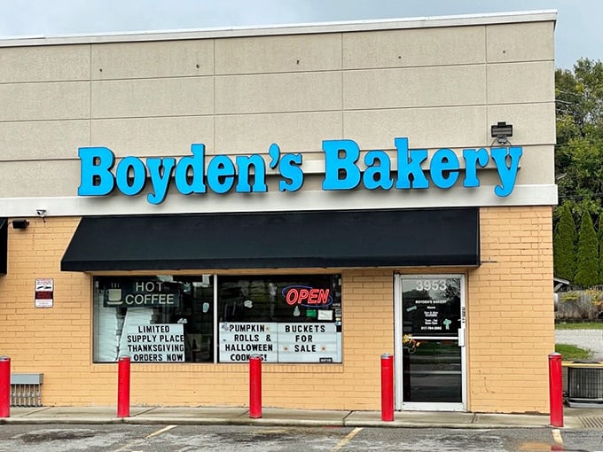 Boyden's bright blue sign against beige is like a sugar rush for your eyes – a preview of the sweetness waiting inside.