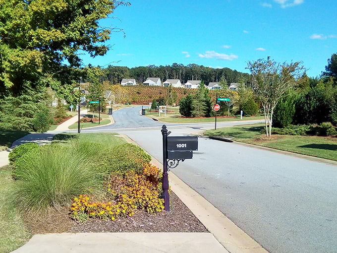 A mailbox stands sentinel at the entrance to this winding community road. Your invitation to a simpler, more connected life.