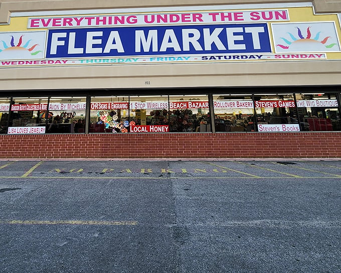 The promise of "Everything Under The Sun" isn't just marketing - it's practically a guarantee here.