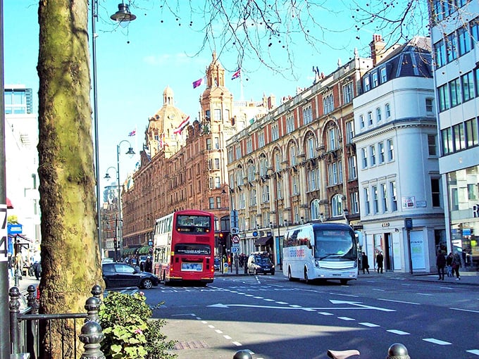 Felton's main street showcases its tree-lined charm, where church steeples still dominate the skyline instead of high-rise buildings.