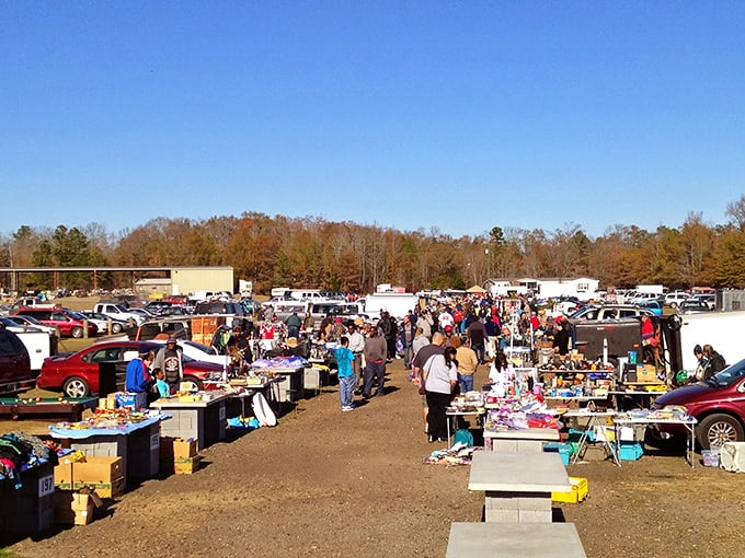 The open-air market sprawls under a perfect Carolina sky. Where else can you find both a vintage lamp and today's lunch?