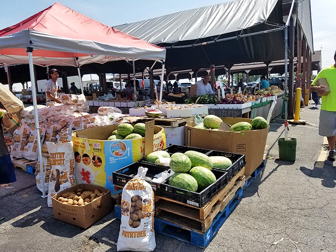 When watermelons share space with memories, you've found Ohio's sweetest shopping spot.
