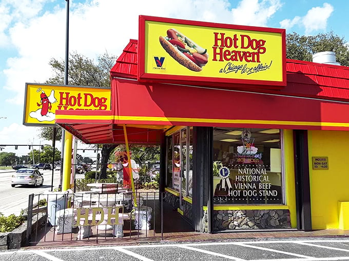 Bold colors announce bold flavors - this place doesn't whisper, it celebrates every bite.