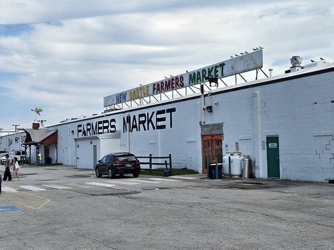White buildings along busy highways often hide the most surprising collections of interesting merchandise inside.