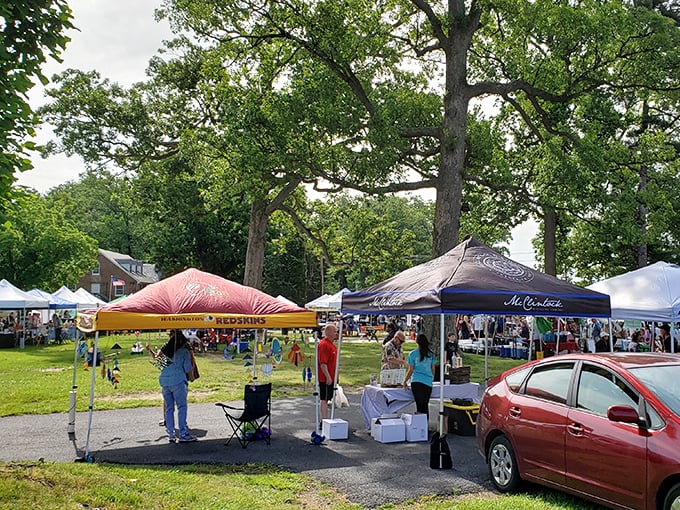 Nature provides the perfect backdrop for browsing. Olney's market blends shopping and socializing under a canopy of trees.