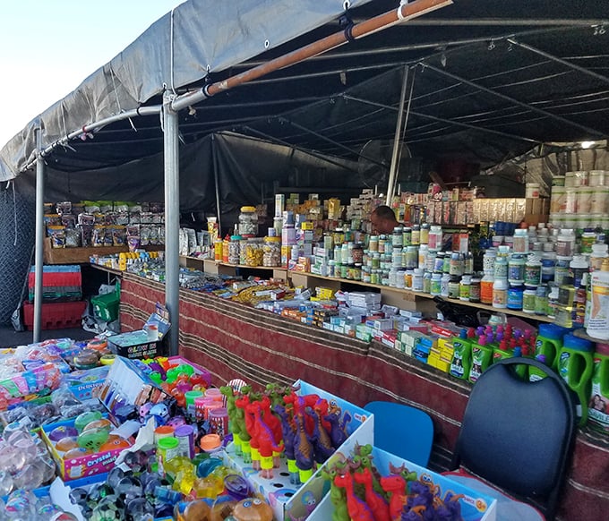 Stockton's Open Air Mall isn't just shopping—it's a sensory explosion where rows of essentials and playful trinkets create a world of organized chaos.