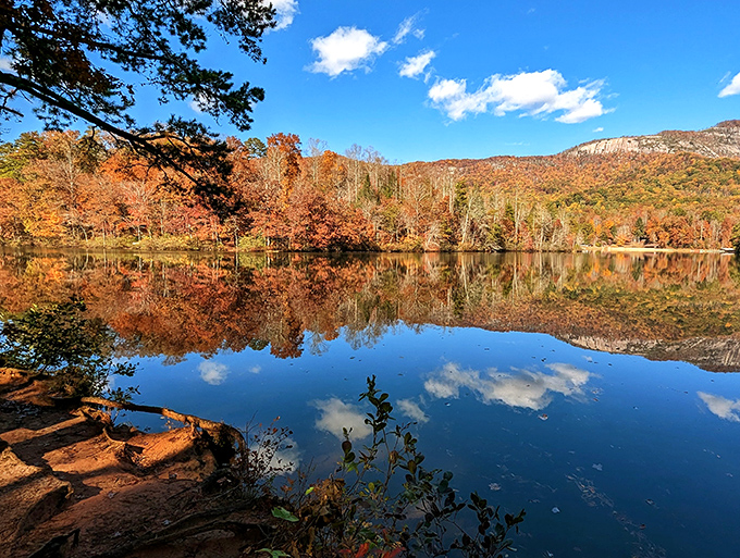 Autumn's double feature! Table Rock's lake mirror perfectly projects fall's fiery fashion show—like IMAX for leaf-peepers without the ticket price.
