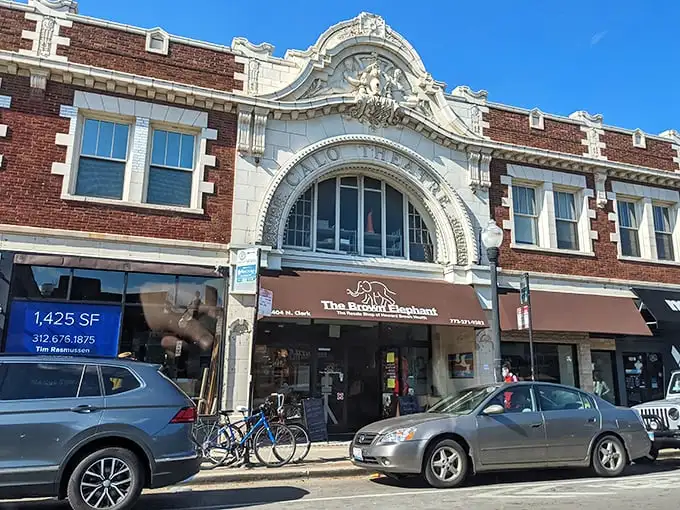 The Brown Elephant's historic building adds character to every shopping adventure in trendy Andersonville.