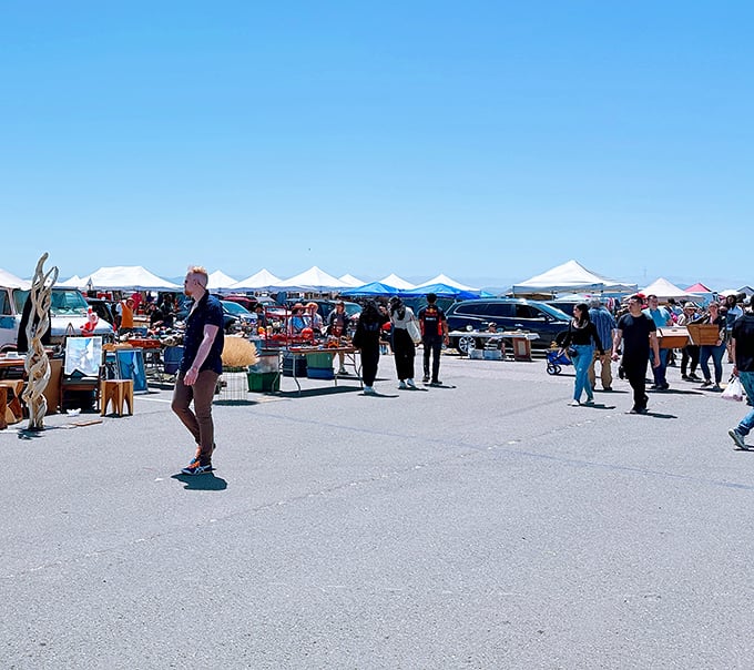 Antique treasures stretch endlessly under blue skies, creating California's ultimate outdoor treasure hunt experience.