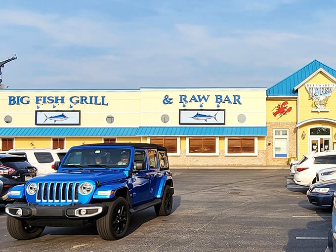 Big Fish knows that sometimes the best views come with butter-drizzled lobster on the side. 