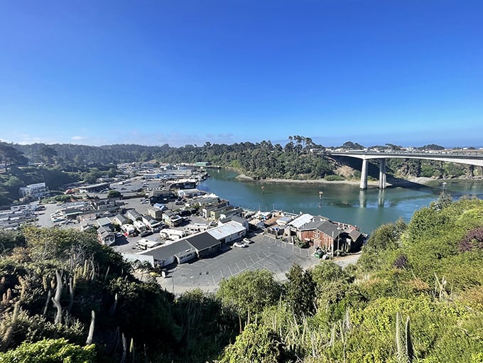 This working harbor keeps things real - no fancy frills, just honest boats and fresh catches.