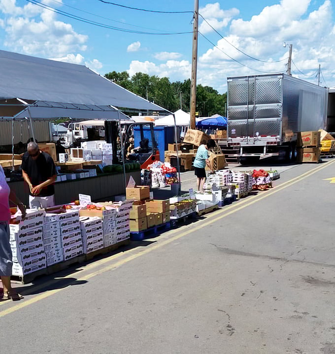 Sun on your shoulders, crates of tomatoes stacked high—Four Seasons feels like summer captured in technicolor.