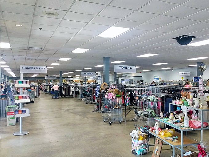 Spacious interiors and clear signage make treasure hunting feel less like work, more like play.