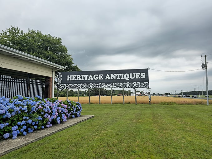 The sign stands tall like a sentinel guarding history. Those blue hydrangeas aren't just pretty—they're nature's way of color-coordinating with vintage finds.