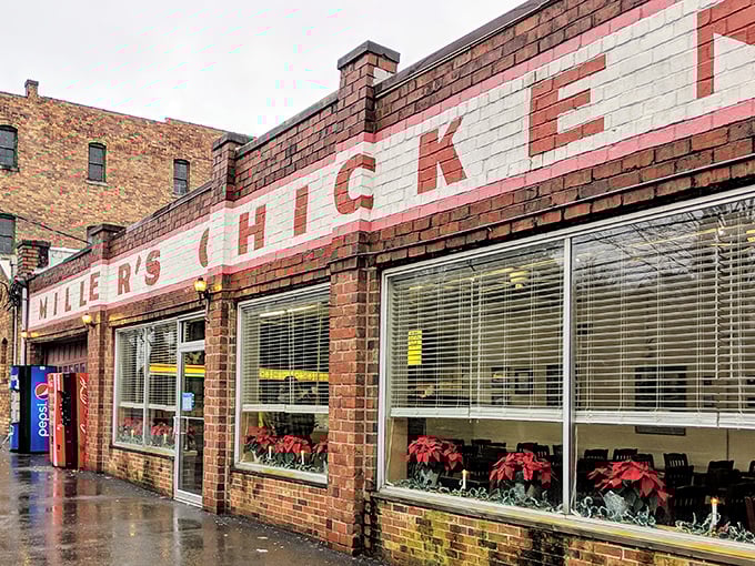 Classic American diner vibes meet serious chicken expertise in this beloved Athens neighborhood cornerstone establishment.