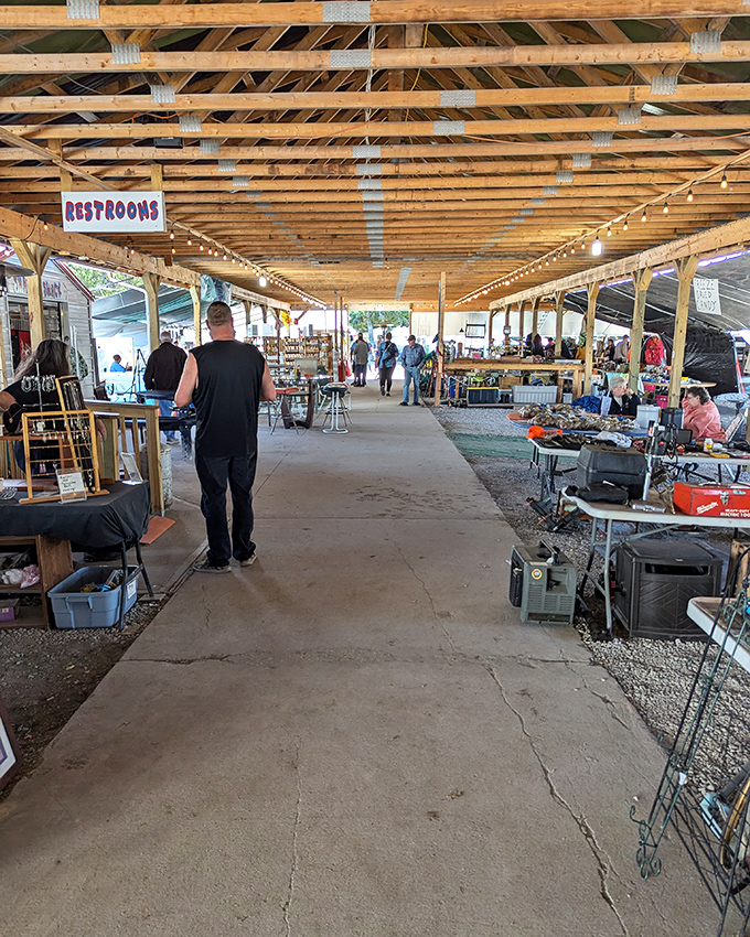 Under Mio's rustic pavilion, treasures wait patiently for their next home – no rush, just Michigan charm.