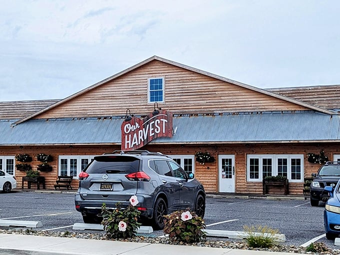 Modern farmhouse style meets coastal dining where local ingredients become culinary art on plates.