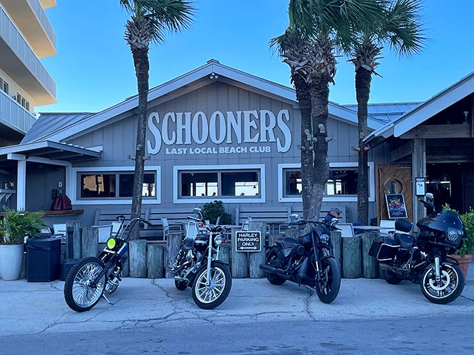 "Harley Parking Only" – because even motorcycles deserve front-row parking for Schooners' legendary seafood experience.
